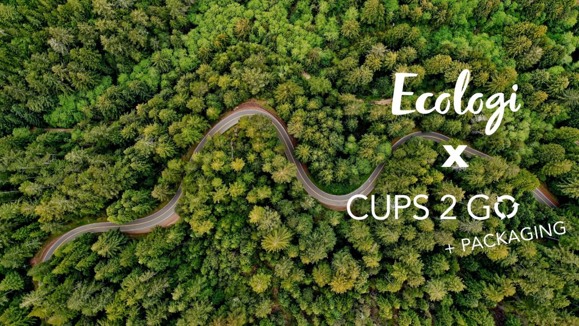 Cups 2 Go – Cups